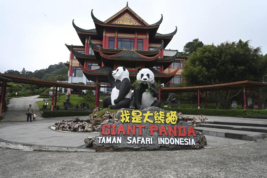 Visitors to Indonesia's panda palace experience charm of Chinese culture